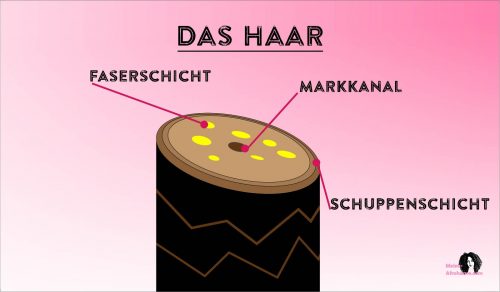 Finde deinen Haartypen heraus, um die passenden Pflegeprodukte zu verwenden