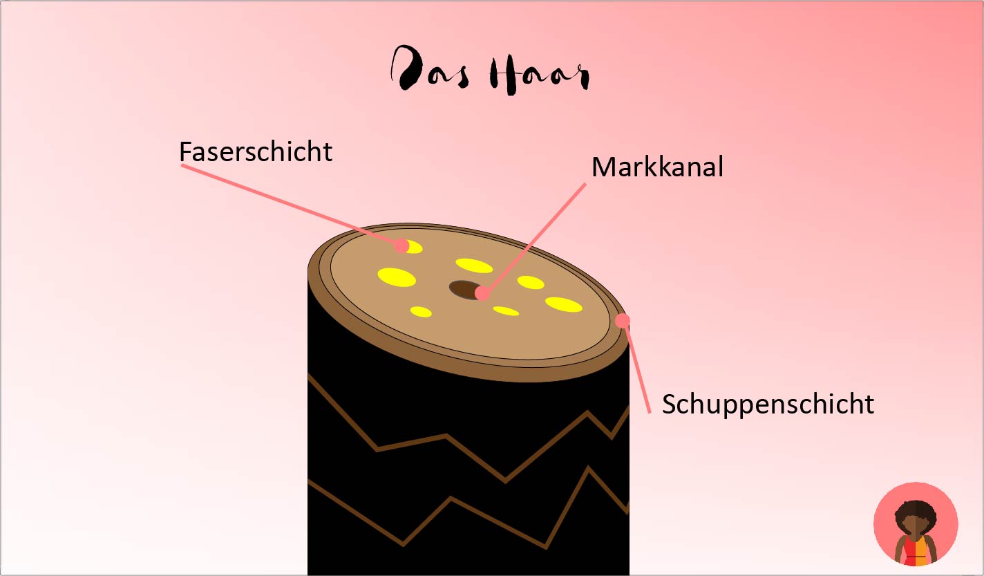 Welchen Haartypen hast du? Ich erkläre dir, wie du es herausfindest!